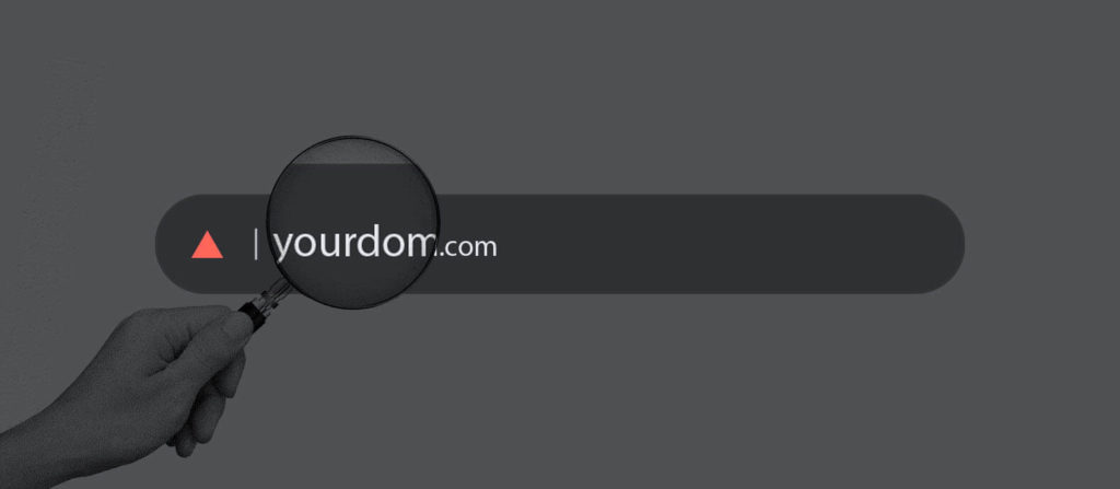 Domain impersonation protection: Why businesses should care - Red Points