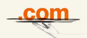 How to deal with domain squatters effectively - Red Points